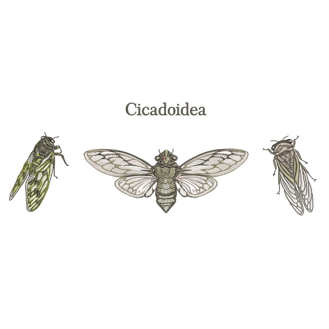 Cicada Machine Embroidery Design, Moth Butterfly Insects Bug Dragonfly ...