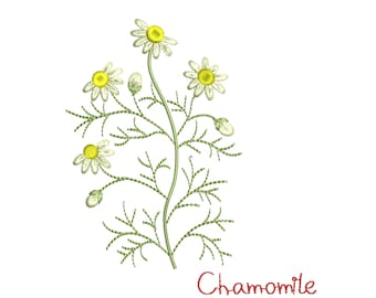 Flower Butterfly Machine Embroidery Floral Botanical Garden - Etsy