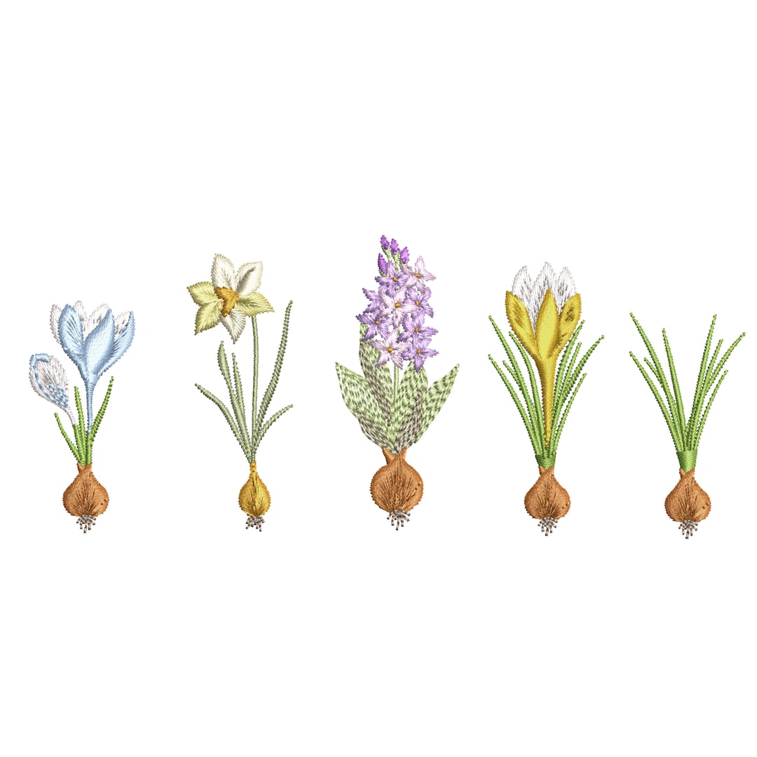 5 Spring Flower Bulb Machine Embroidery Designs, Flowers Botanical ...