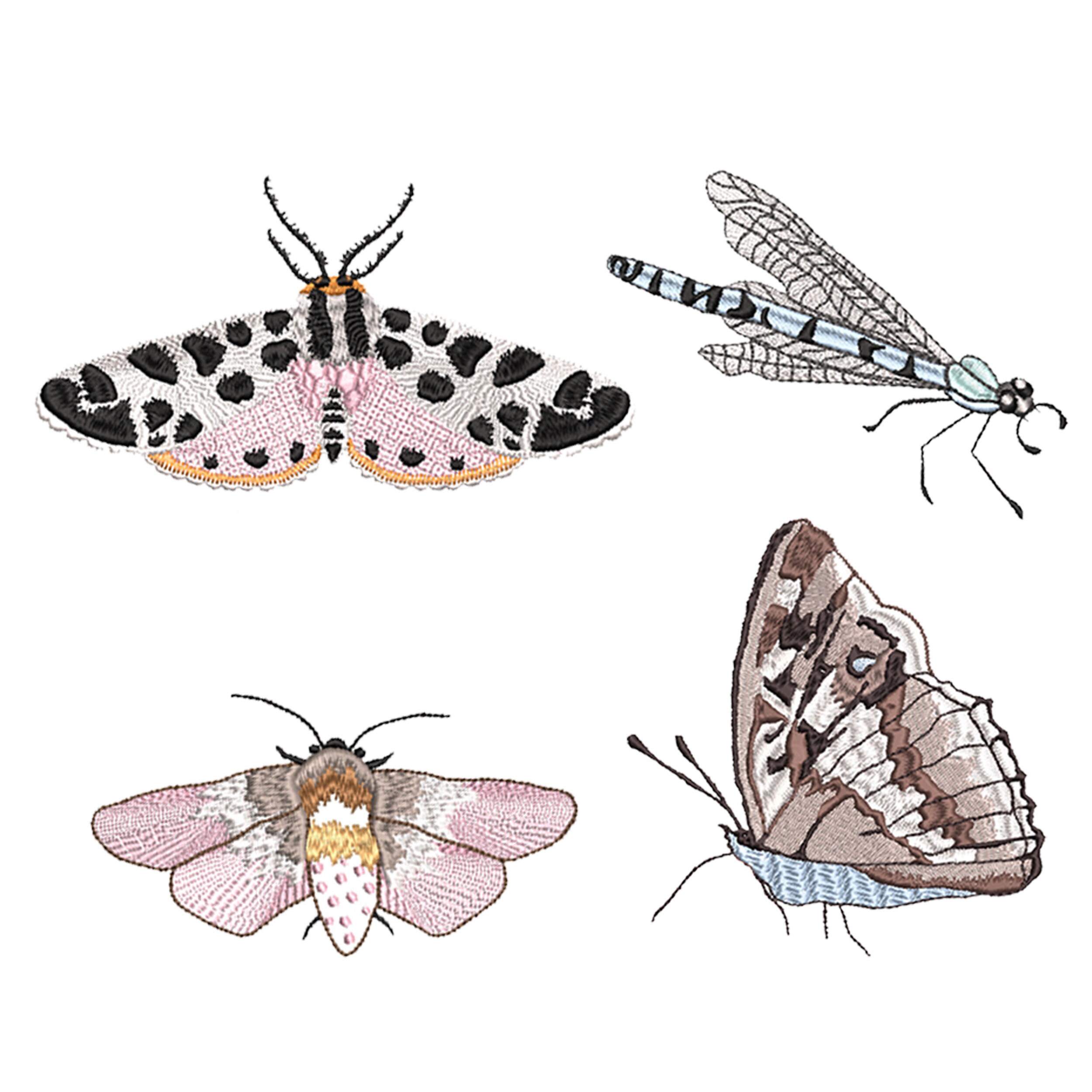 10 Flower Moth Butterfly Insects Bug Dragonfly Naturalist | Etsy