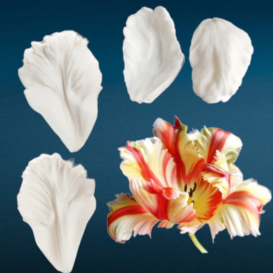 Tulip Petal Veiner Silicone Mold for Fondant Gumpaste Polymer Clay ...