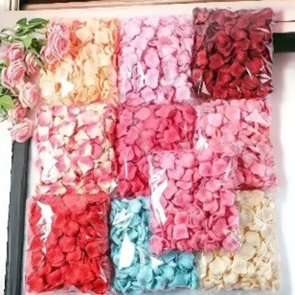 Silk Rose Petals - Etsy