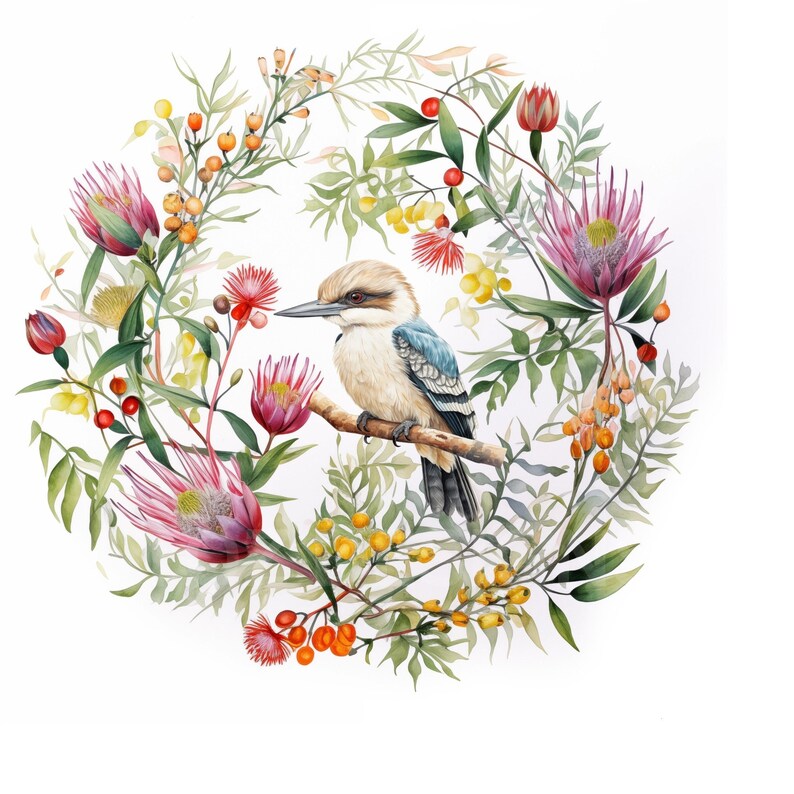 Watercolor Clipart, Australian Native Birds Surrounded by a Colourful ...