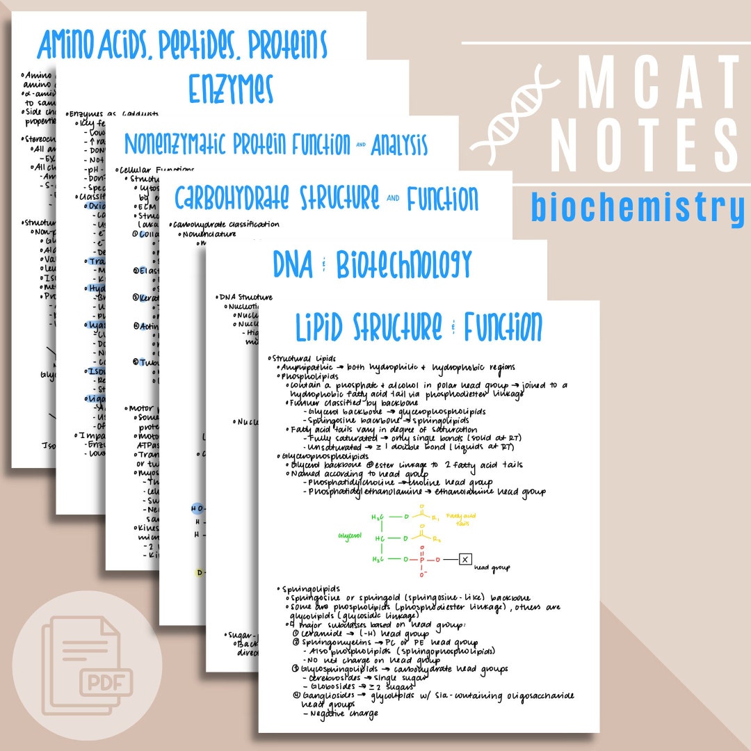 Biochemistry MCAT Study Guide - Etsy