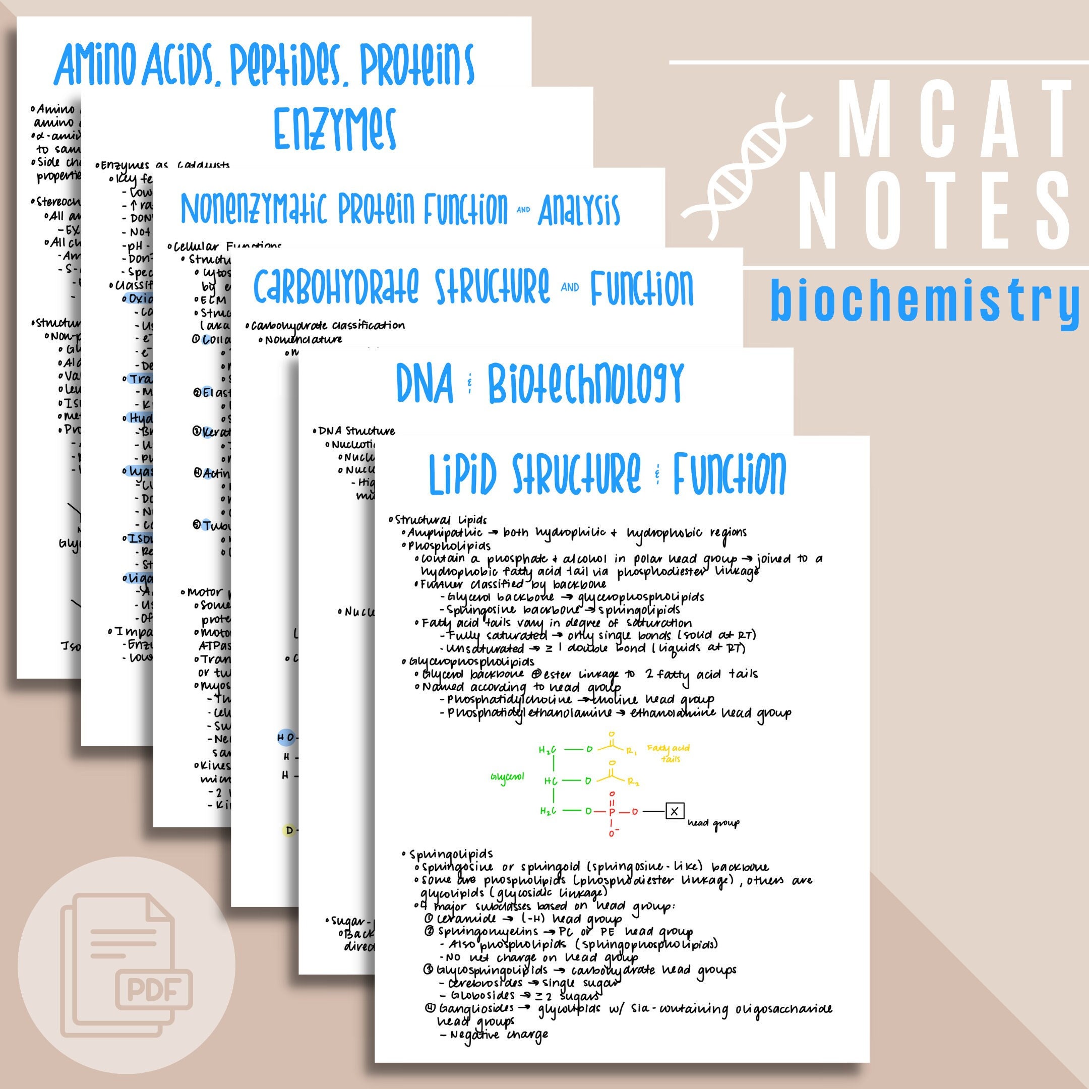 Biochemistry MCAT Study Guide - Etsy