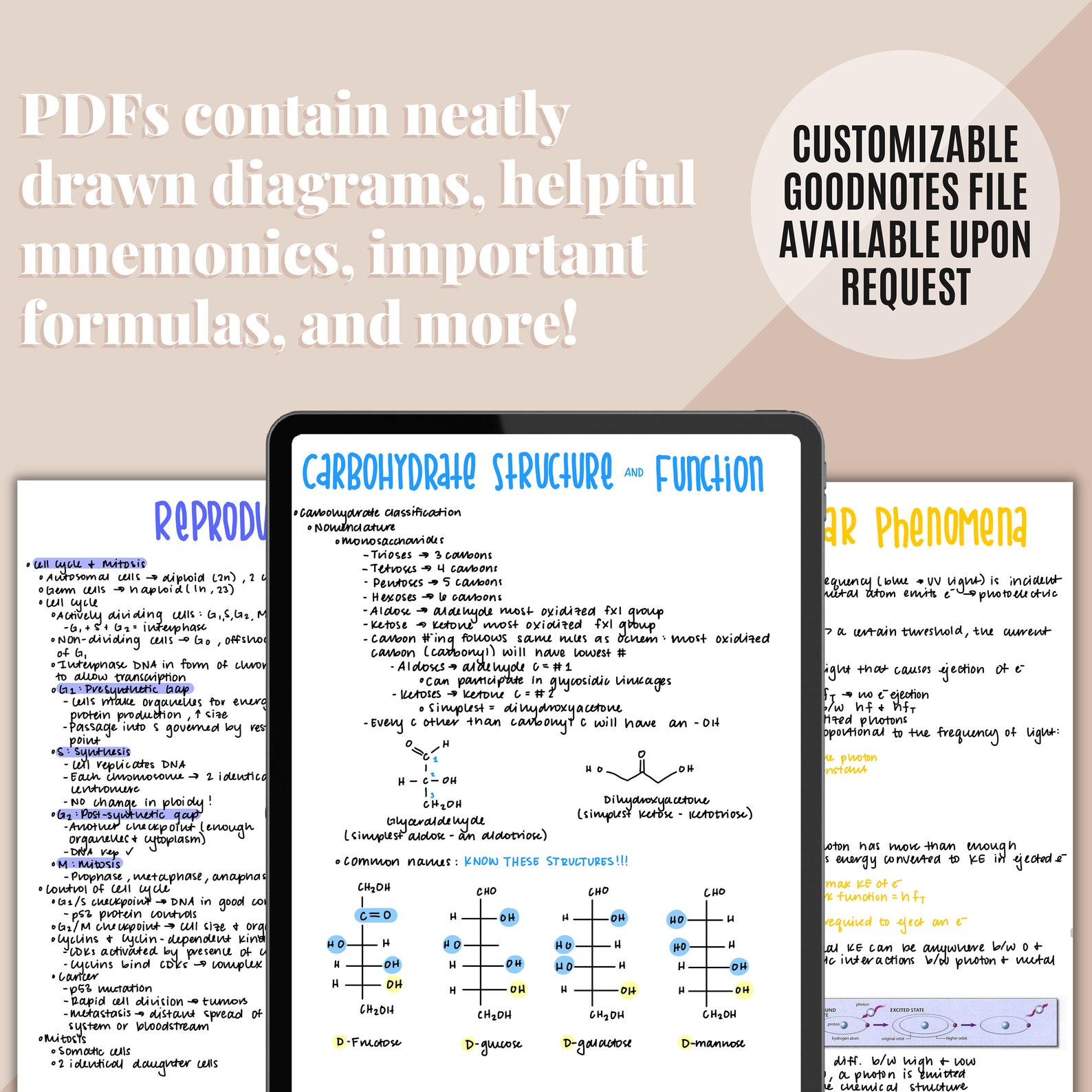 Complete MCAT Study Guide - Etsy