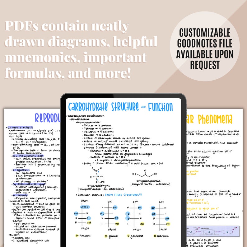 Complete Mcat Study Guide Etsy