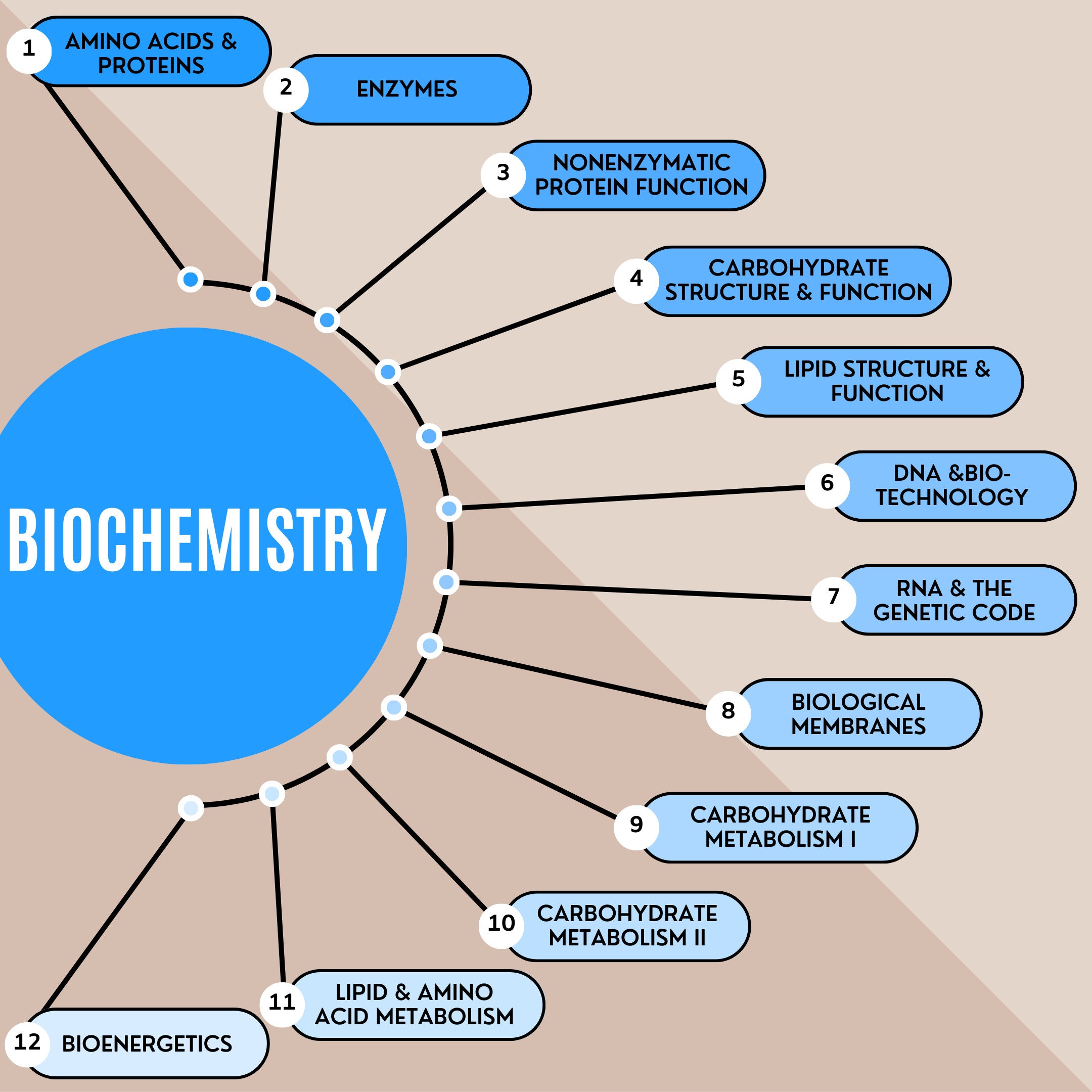 Biochemistry MCAT Study Guide - Etsy