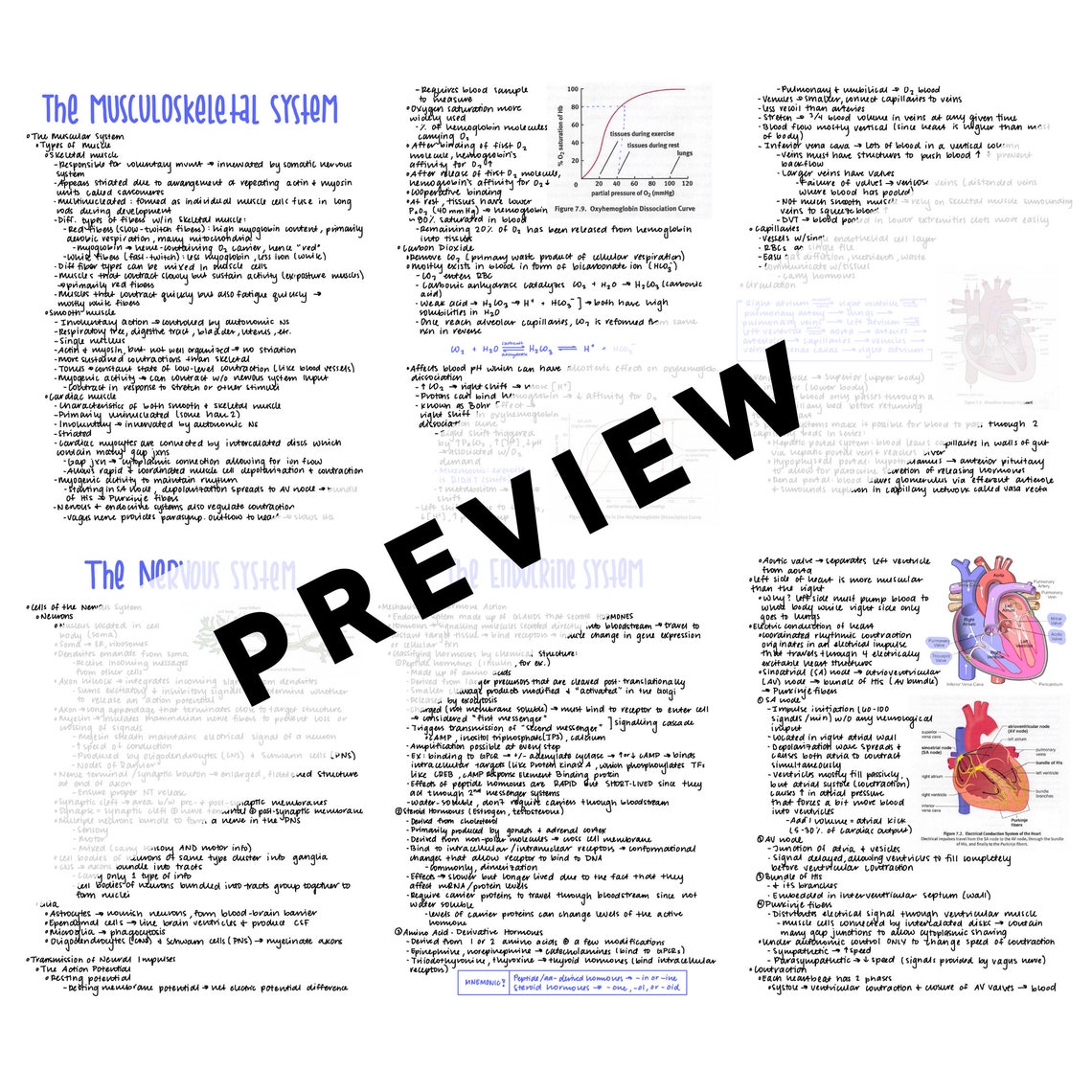 Biology MCAT Study Guide - Etsy