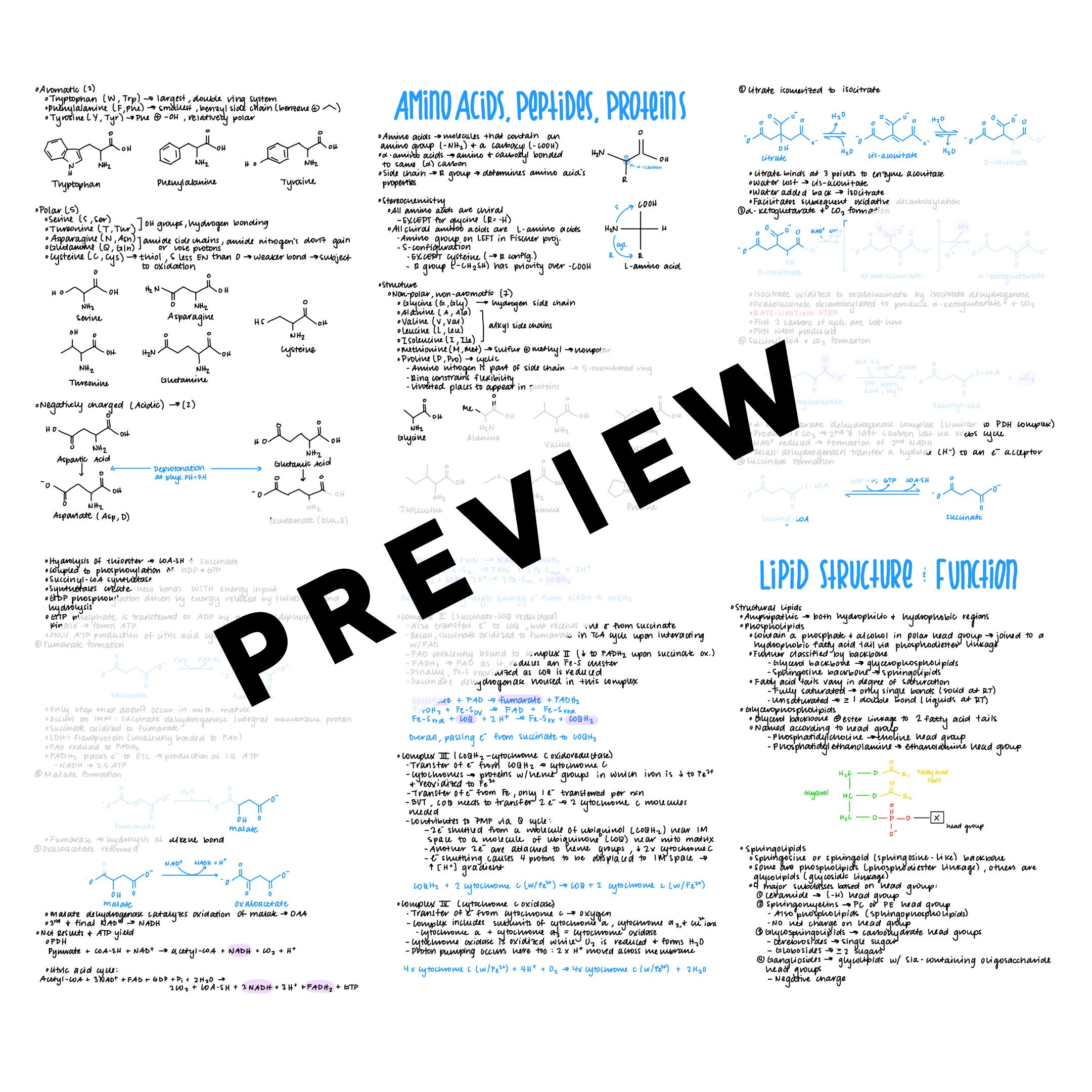 Biochemistry MCAT Study Guide - Etsy