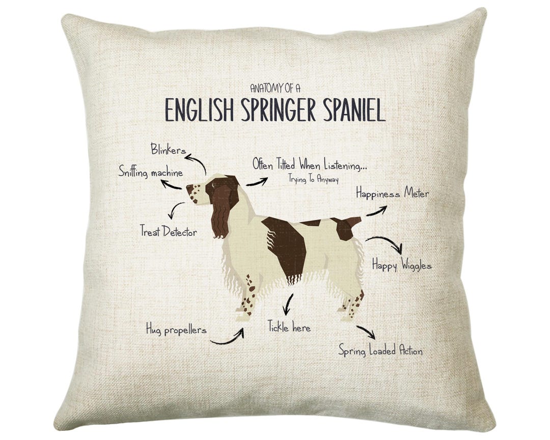 Anatomy of a English Springer Spaniel Funny Gift for Him or Her Cushion ...