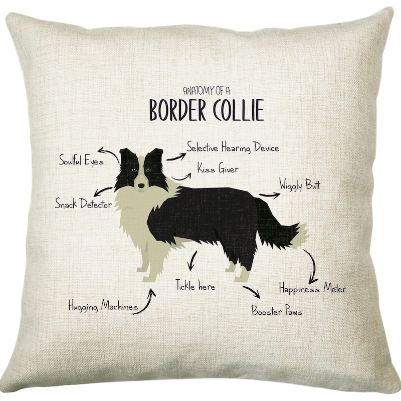 Border Collie Gift - 60+ Gift Ideas for 2025