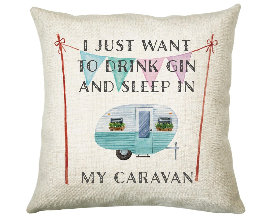 Campervan Gift Gin & Camping Caravan Cushion Camping Gifts for Caravan ...