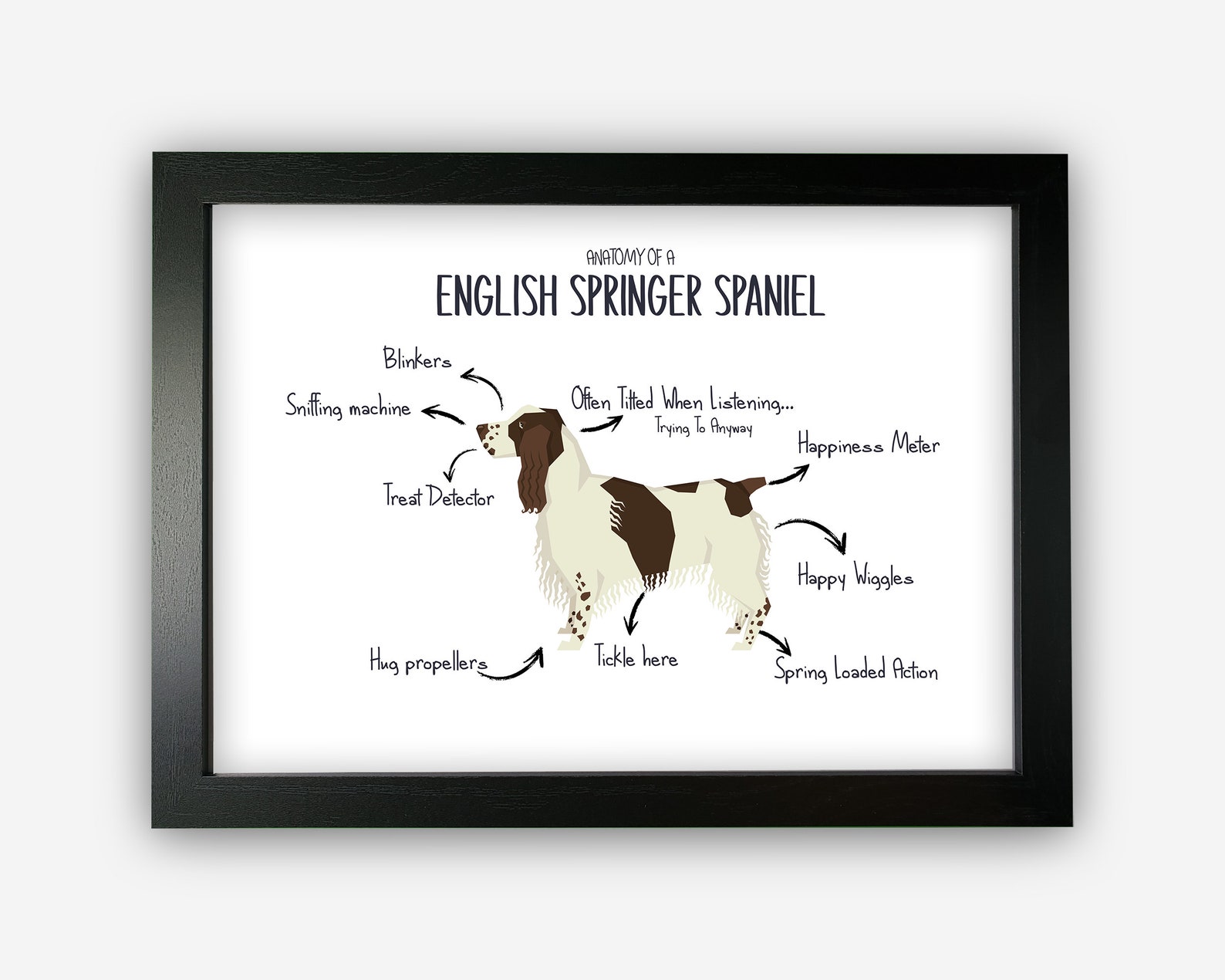 Anatomy of an English Springer Spaniel Funny Personalised Gift - Etsy
