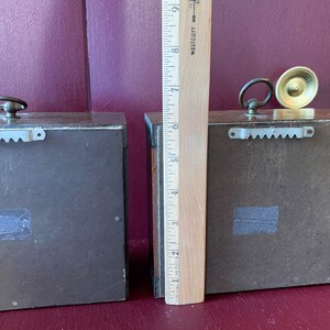 Shadow Box Terrarium Scenes, Still Life, Wall Art, Kitschy, Country ...