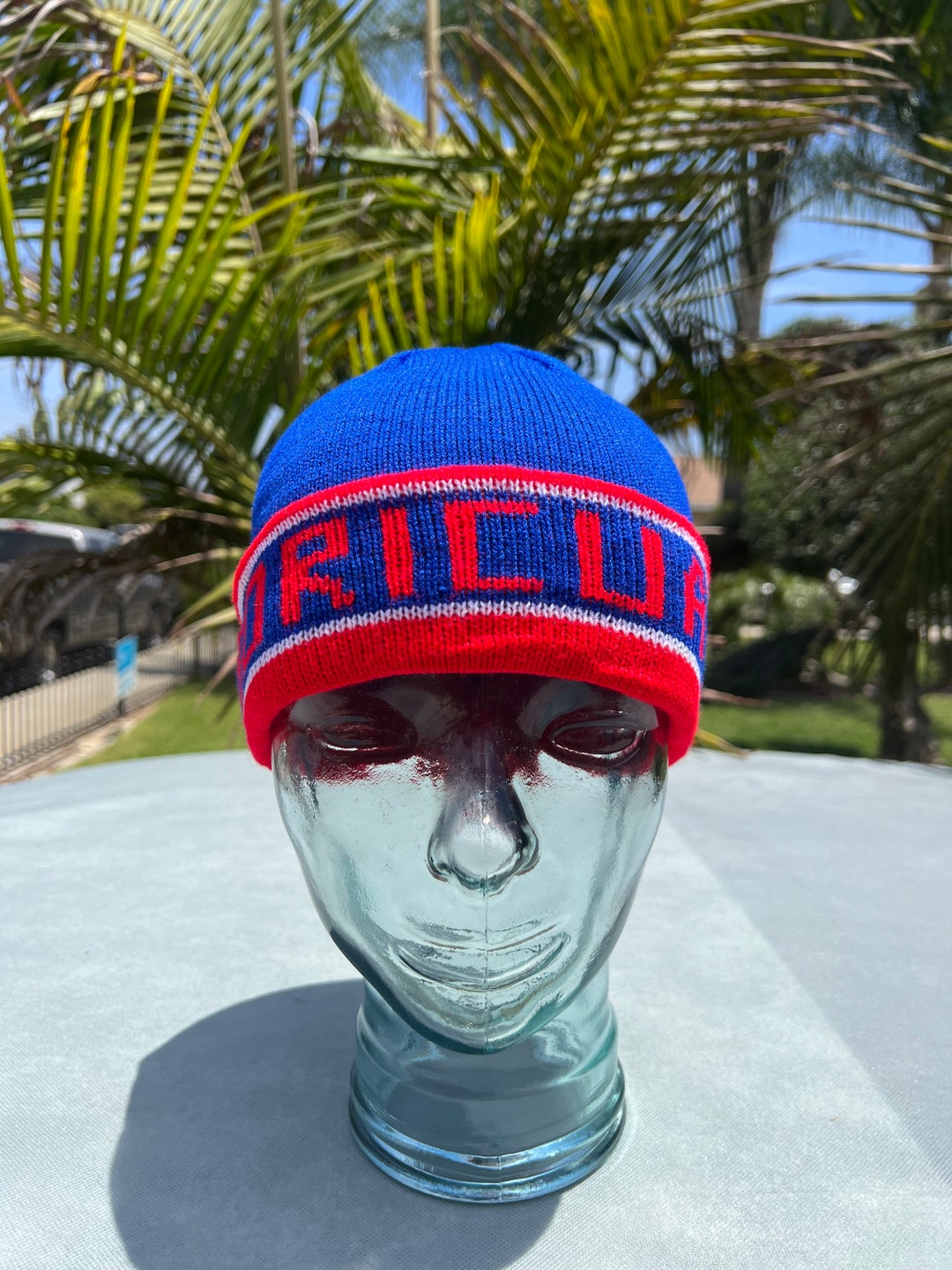 Puerto Rico Boricua Beanie Winter Hat - Etsy