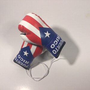 Puerto Rico Flag Boxing Gloves - Etsy