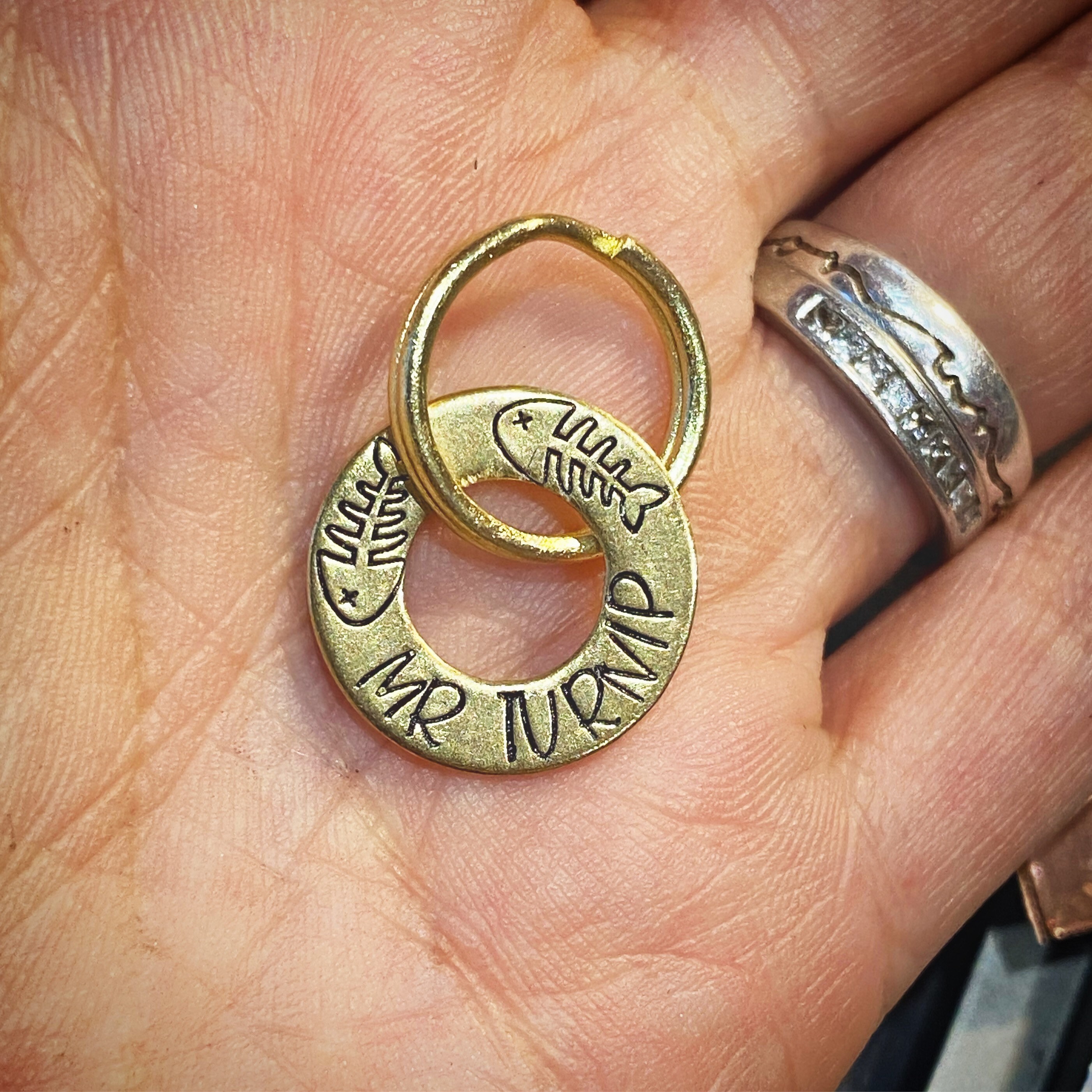 Extra Small Brass Pet ID Tag. Personalised Name Number - Etsy