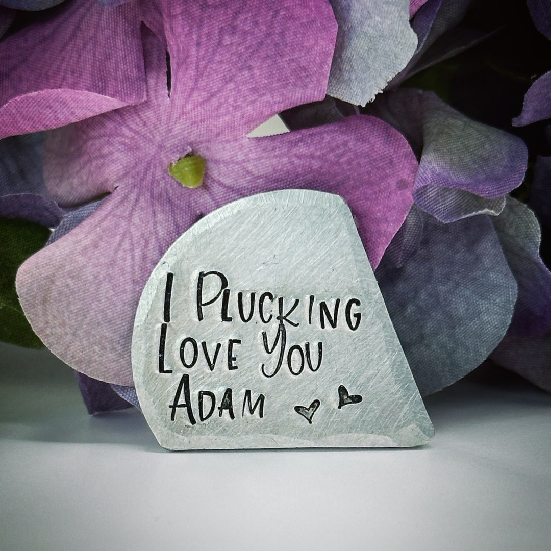 Personalised. I Plucking Love You. Hand Stamped Aluminium Tin Plectrum ...