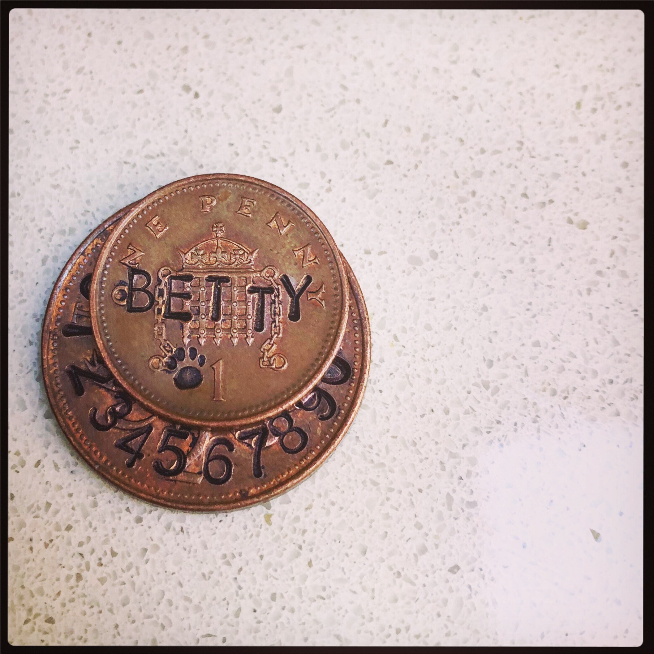 LUCKY PENNIES pet ID tag. Personalised dog cat name tag. Hand | Etsy