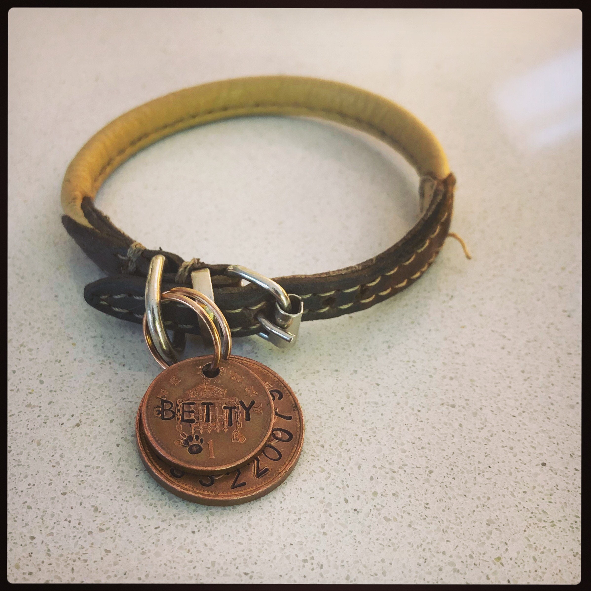 LUCKY PENNIES pet ID tag. Personalised dog cat name tag. Hand | Etsy