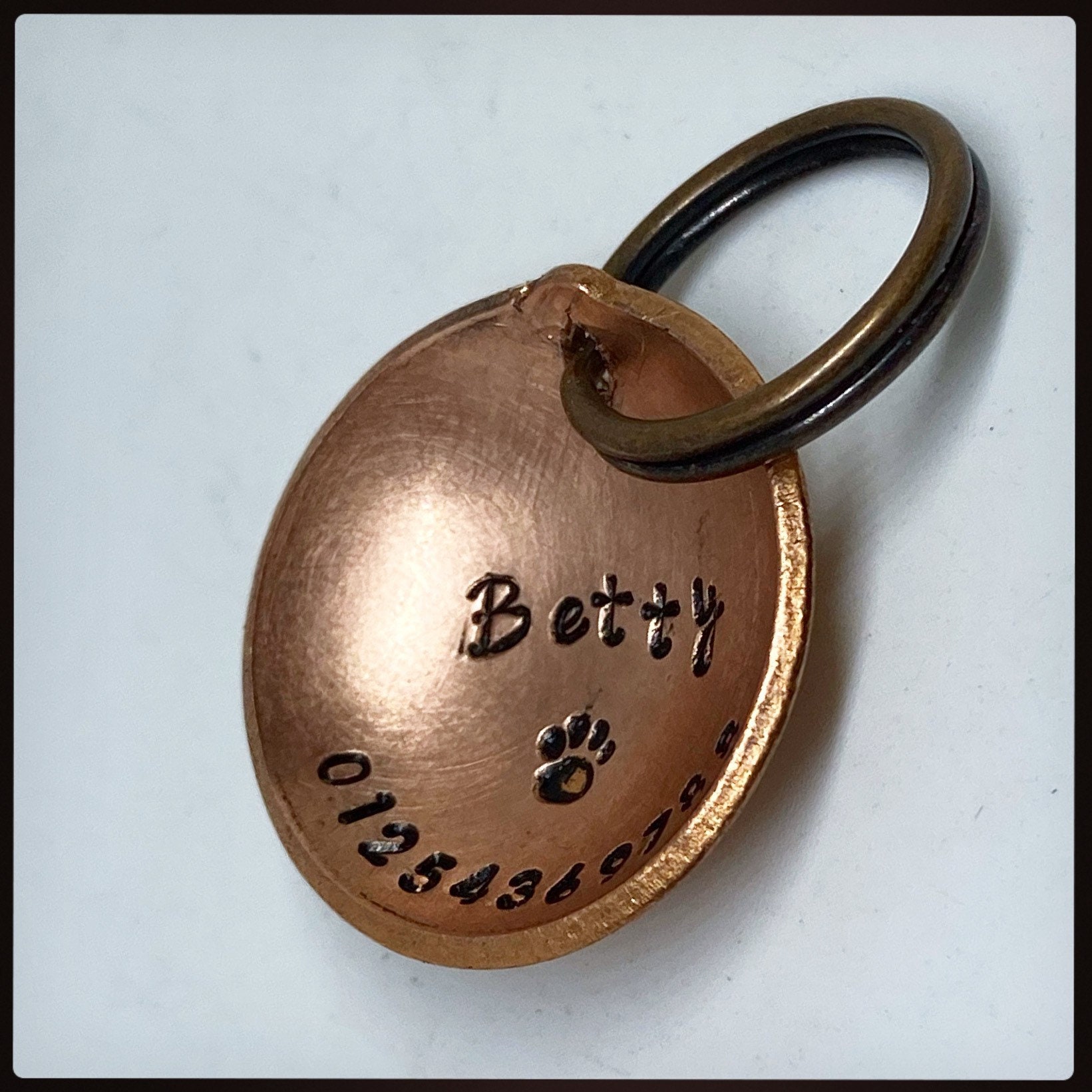 Domed Pet ID Name and Phone Number Tag. Custom Dog Puppy - Etsy Ireland