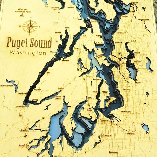 3d Map Of Puget Sound Etsy