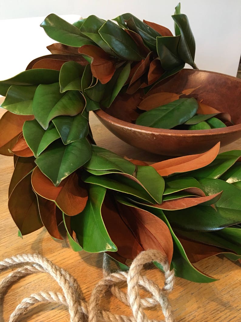 Bundle of Fresh Magnolia Leaves Perfect for Holiday Decorating! Wreaths ...