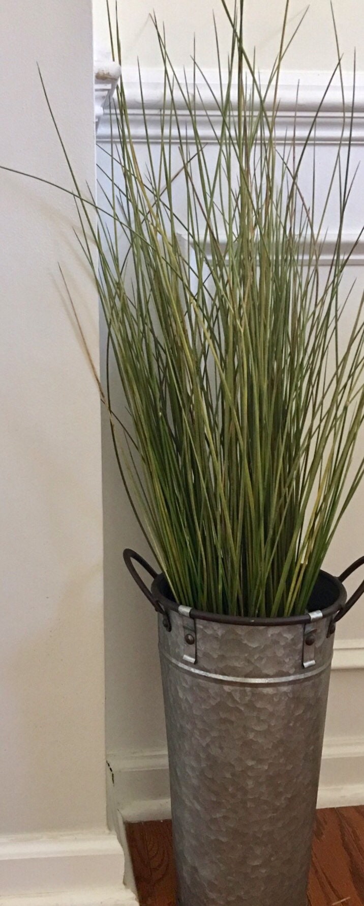 Sea Grass Bundles Etsy