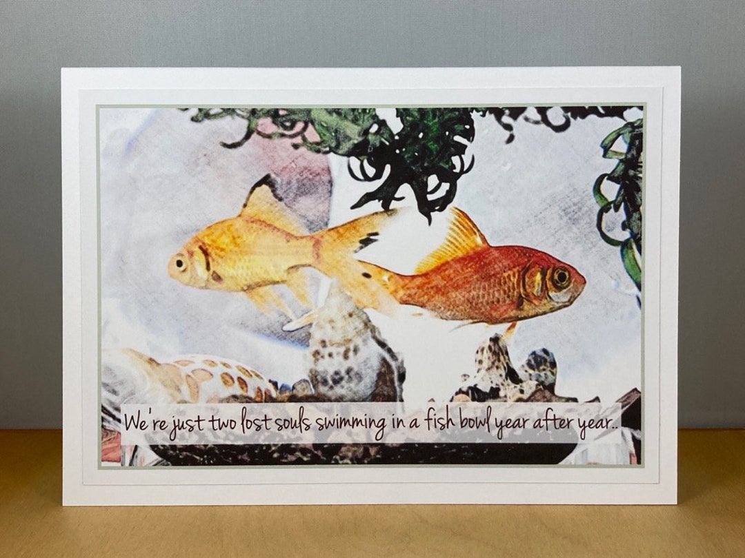 Pink Floyd “.. Fish Bowl” Valentine Card - Etsy