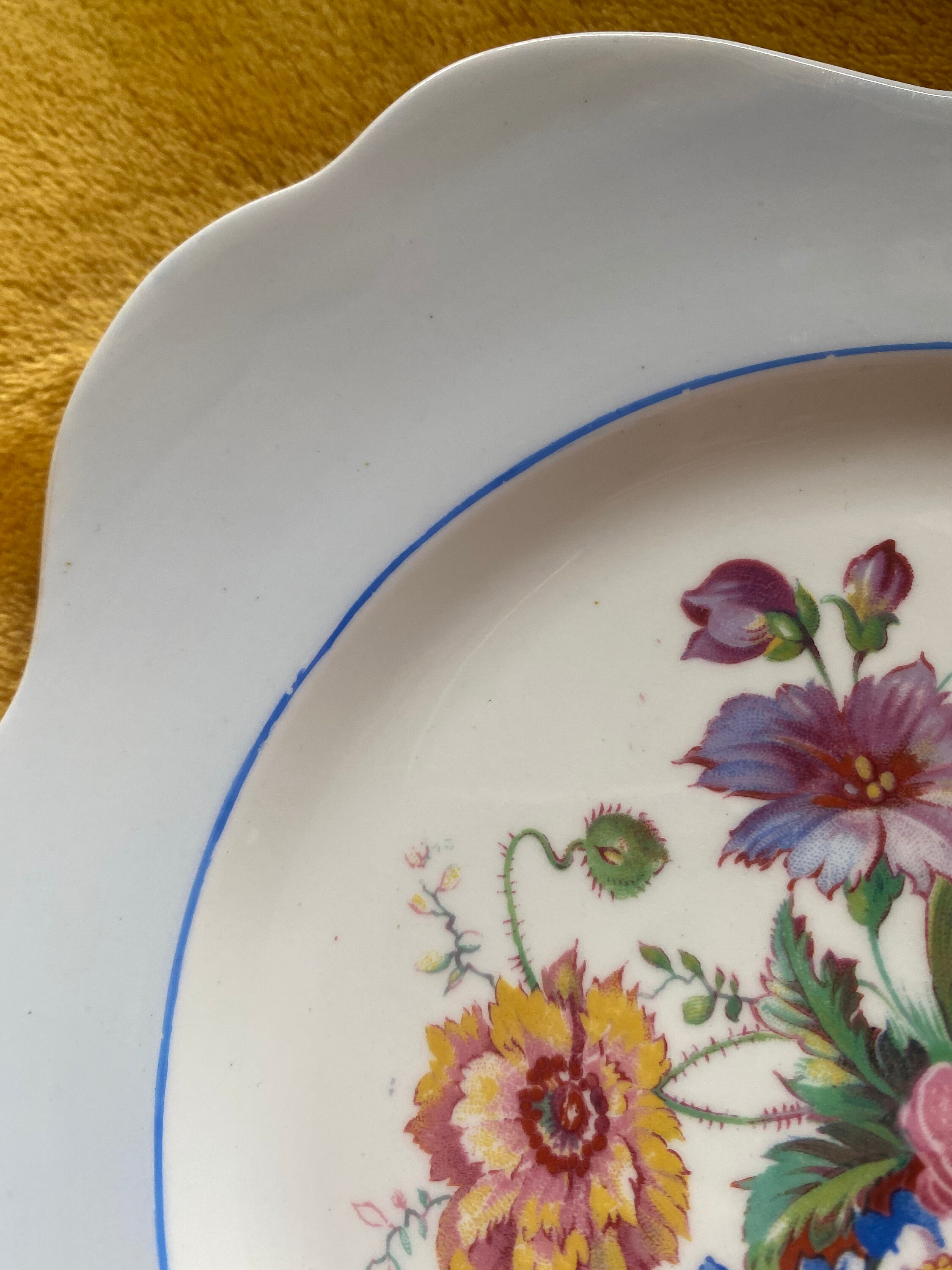 Vintage/antique Colclough Bone China Longton England Plate, Floral ...