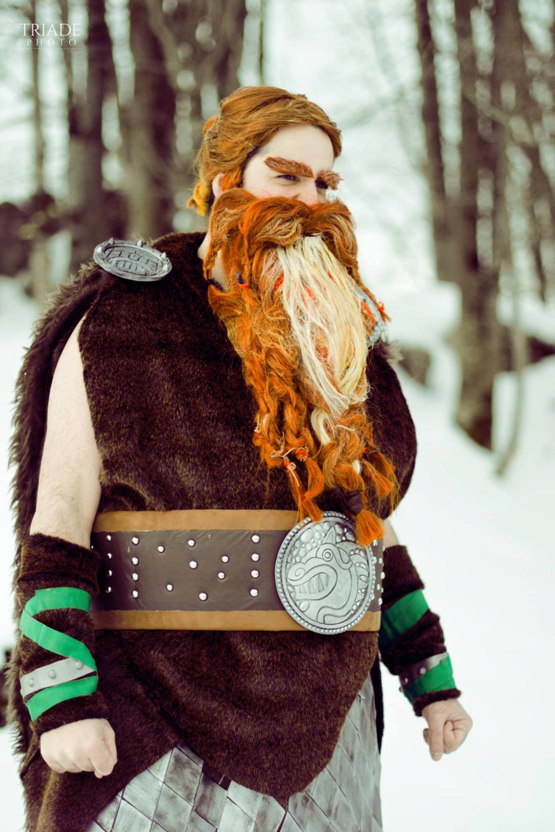 How To Train Your Dragon Stoick