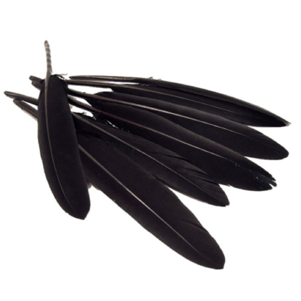 Black Feathers - Etsy