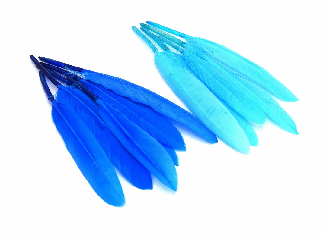 X20 Sky Blue / Navy Blue Feathers DIY and Jewelry Creation - Etsy