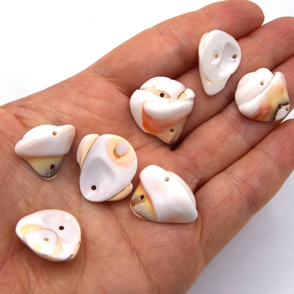 Cut Shell Necklace - Etsy