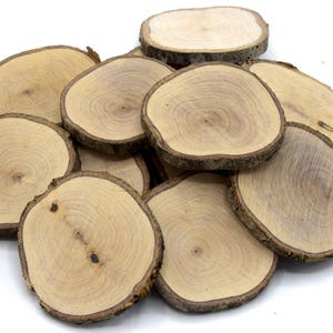 X50 Olive Wood Washers for Wooden Decoration Ø4060mm Brut/wooden ...