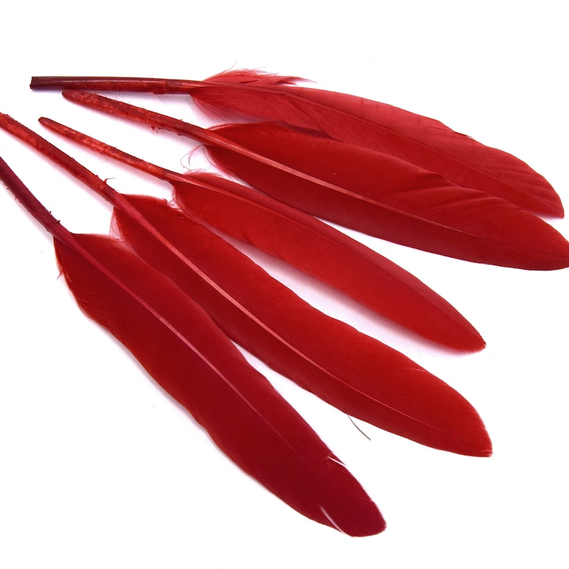Red Feathers - Etsy