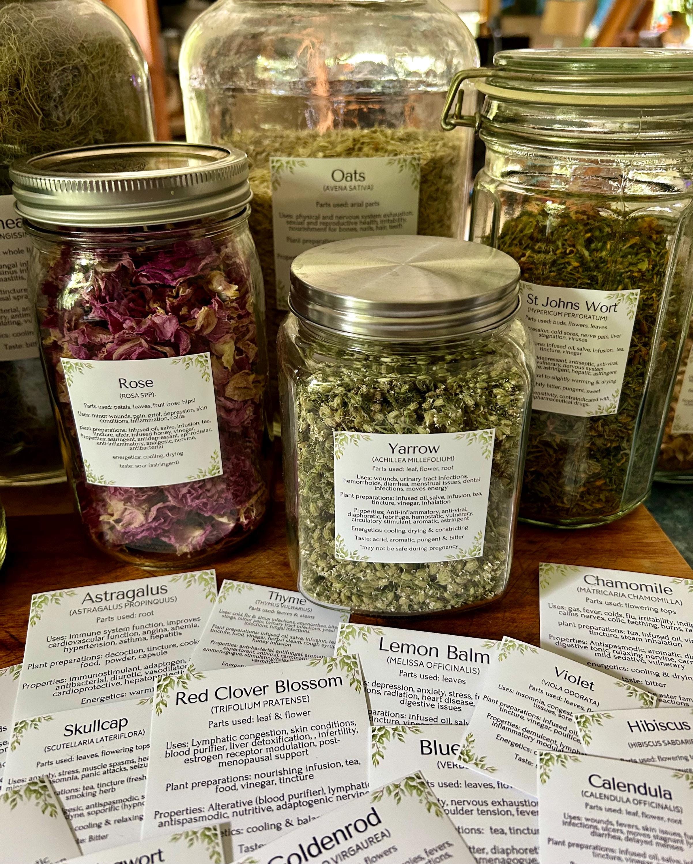 Herbal Apothecary Jar Labels: 117 Herbs, Mushrooms, Resins. Properties ...