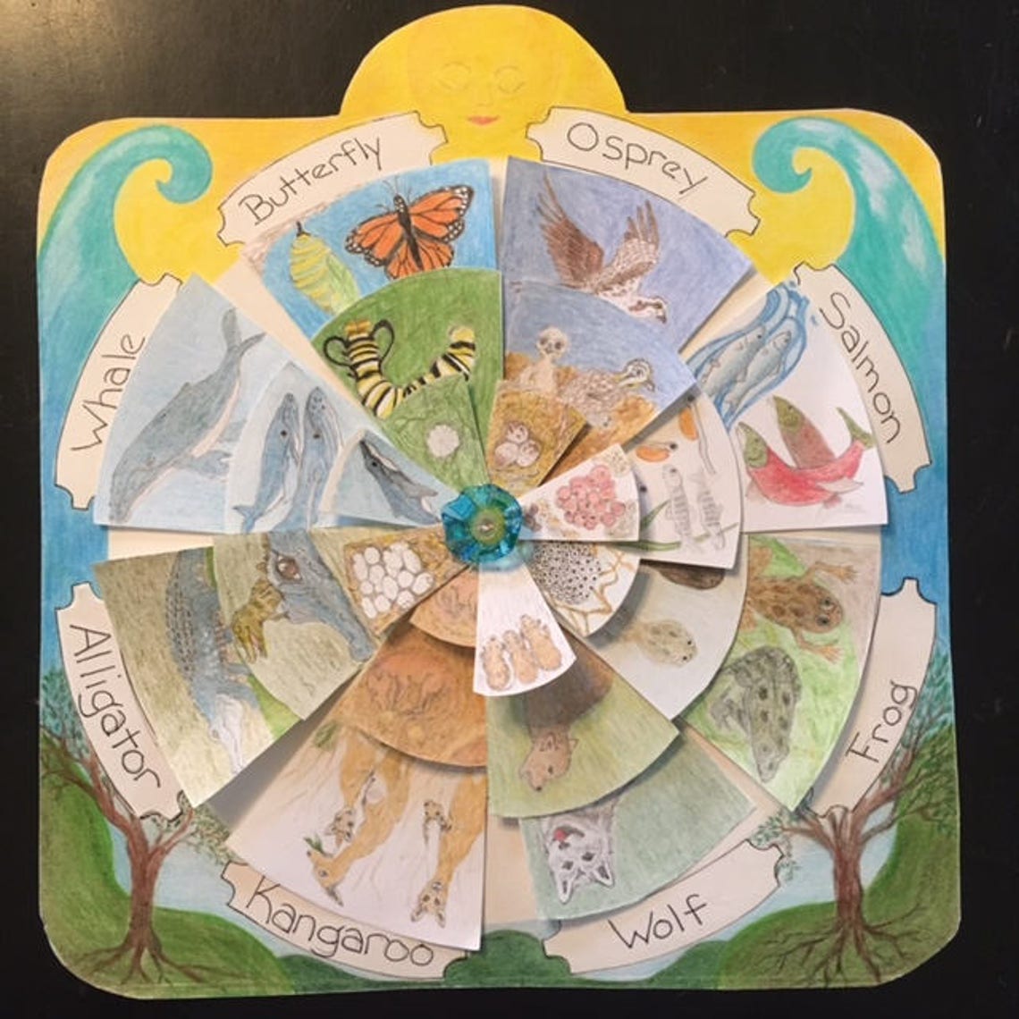 Animal Life Cycle Wheel | Etsy