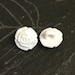 White Rose Shank Buttons: Plastic Floral Sewing, 13mm (10 Pc) - Etsy