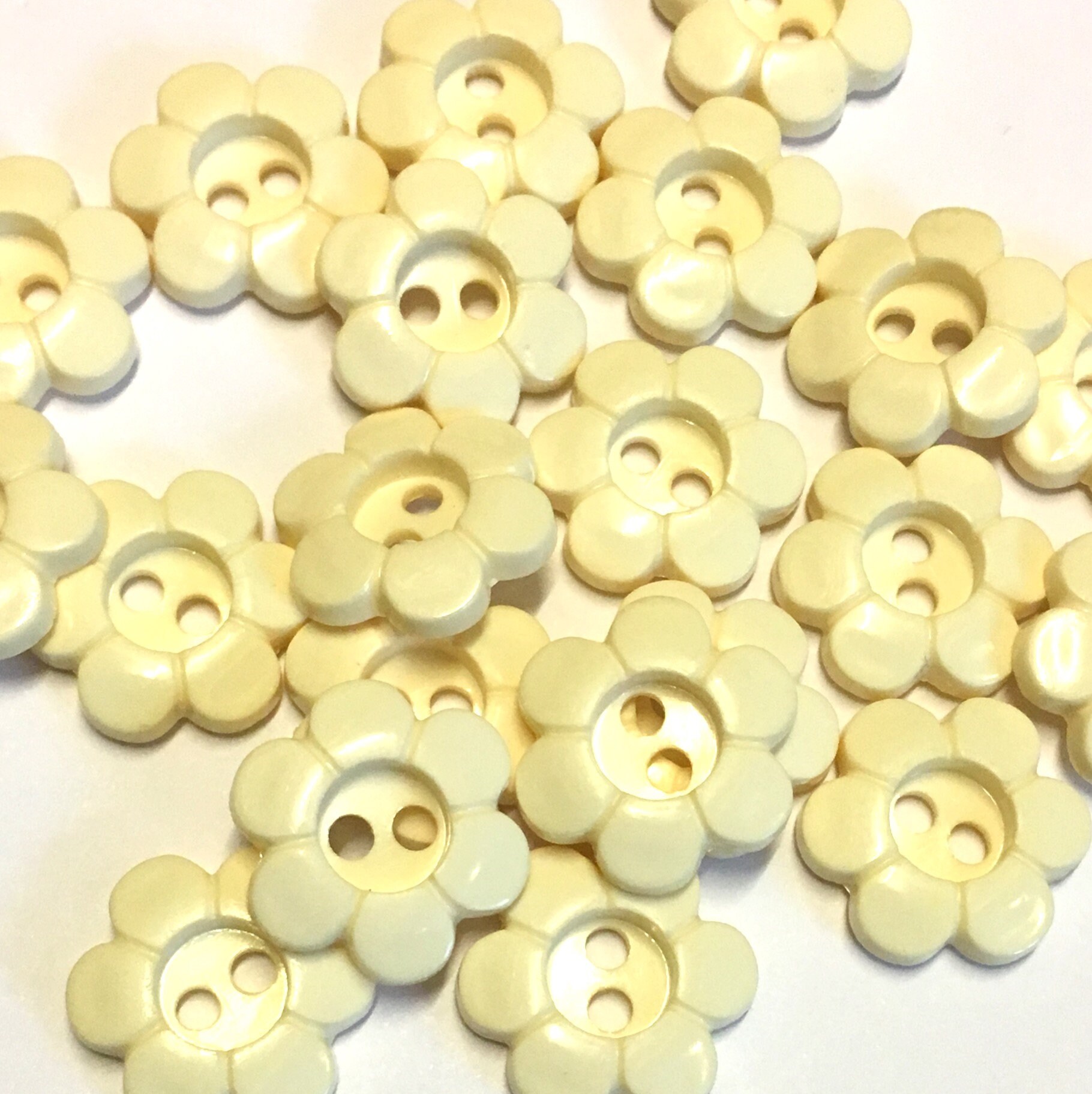 10 Cream Flower Buttons Cream Buttons Cream Floral Buttons - Etsy