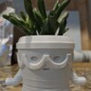 Animal Crossing New Horizons 3D Print - Bubbloid Gyroid Planter - Etsy