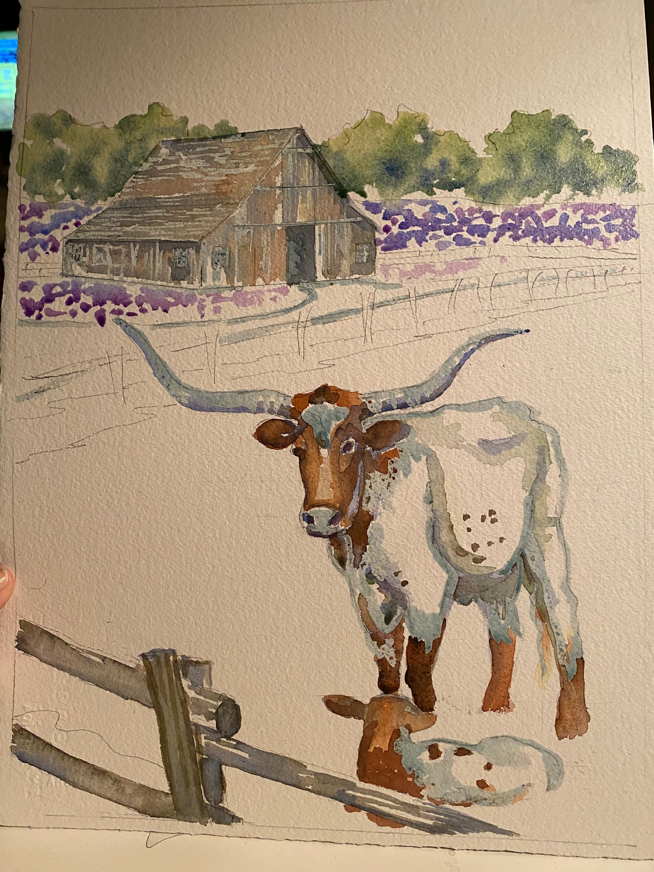 Notecards Cows/ Texas Wildlife/ Texas Scenes - Etsy