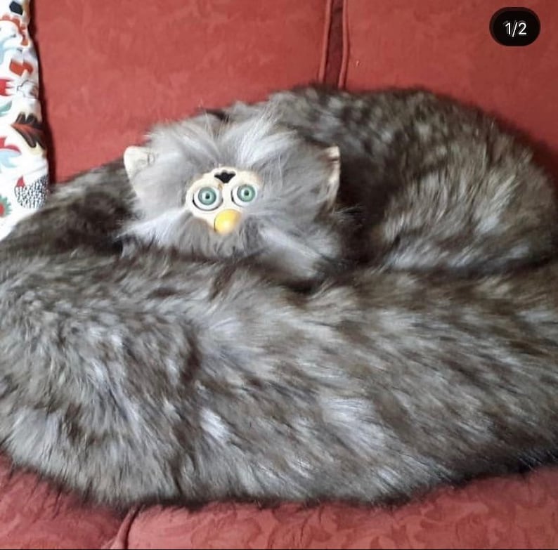 Custom long Furby | Etsy