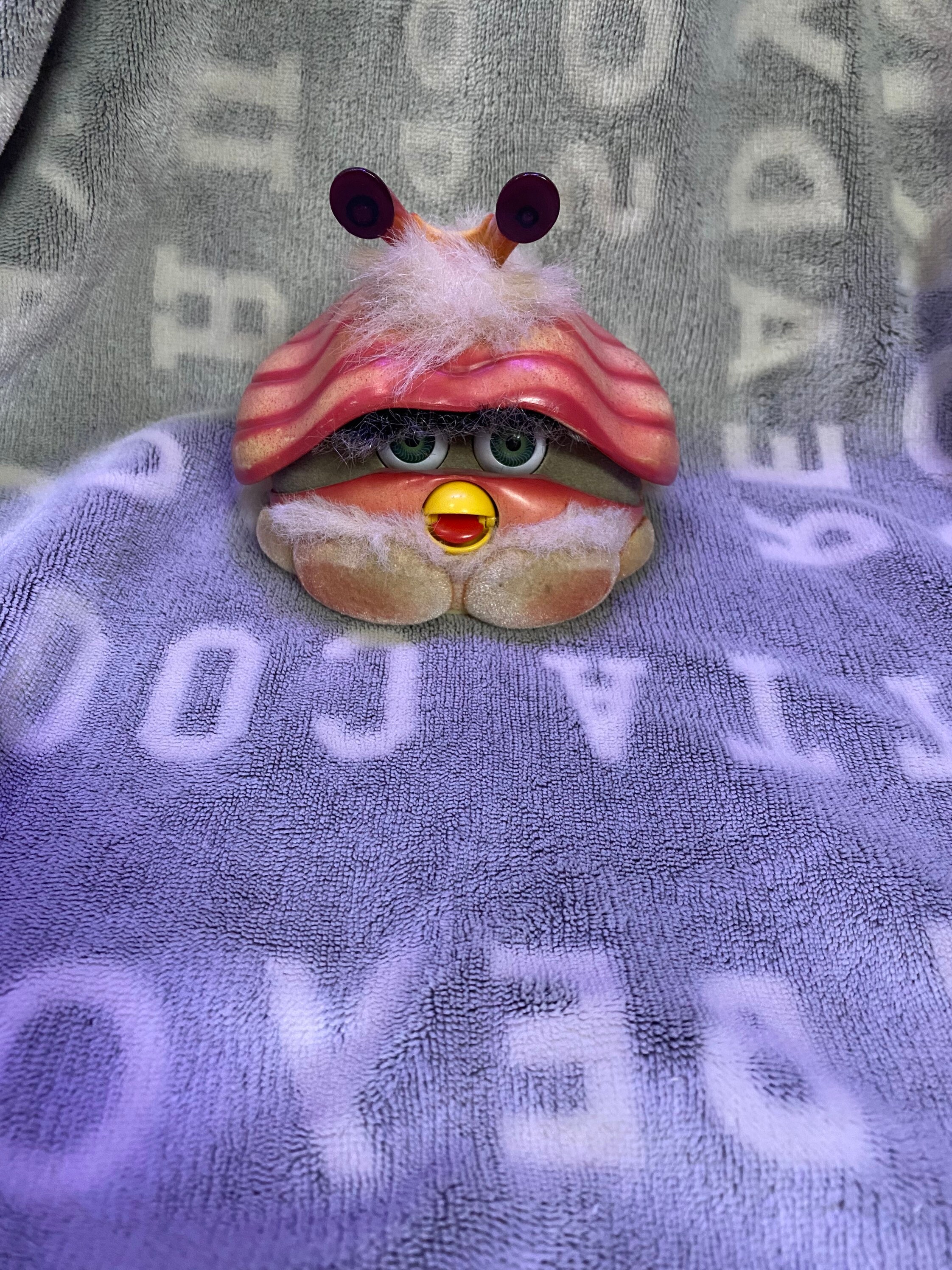 Shelby Furby for sale | Only 2 left at -65%