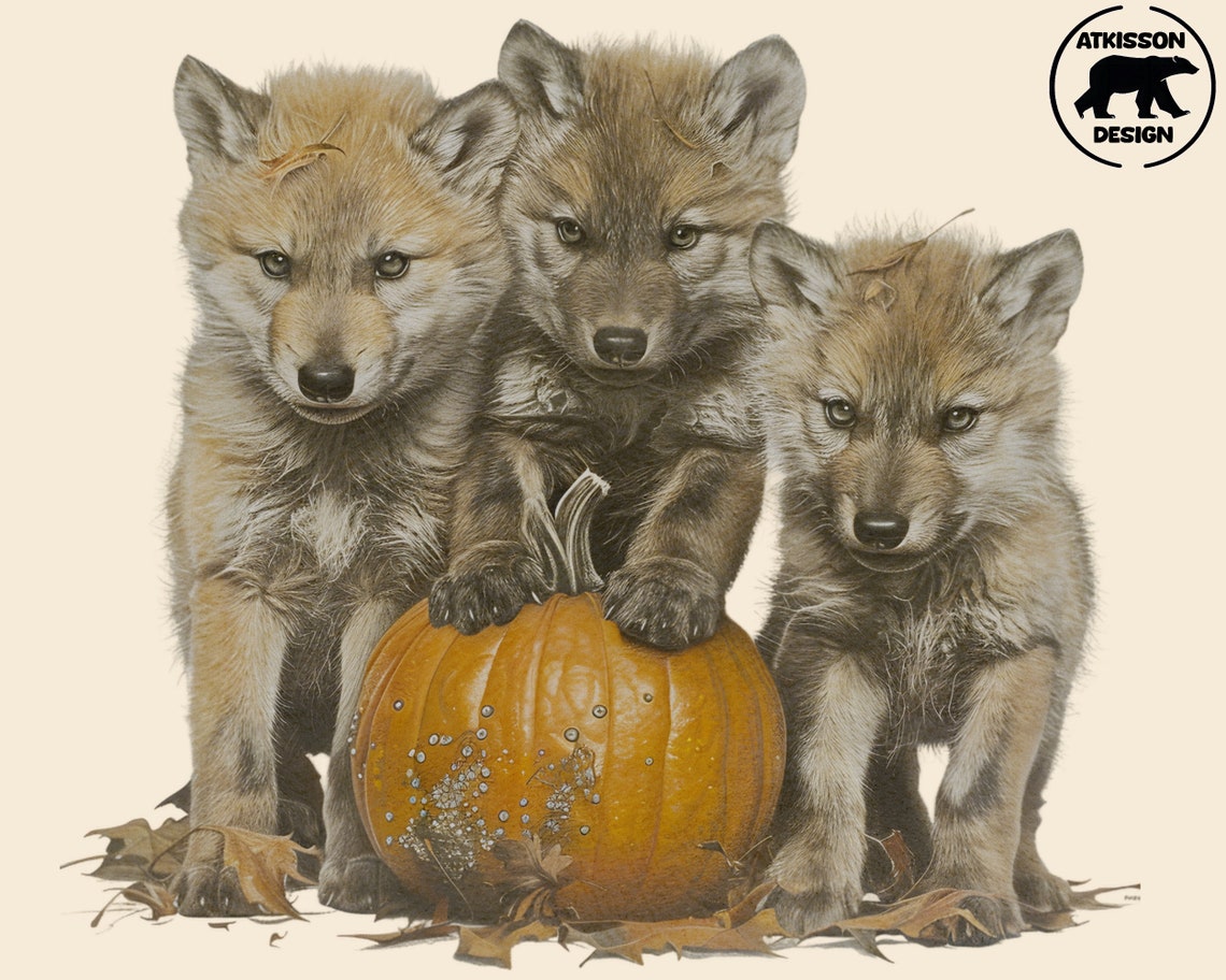 Wolf Cubs Artistic Clipart Pumpkin Clipart Cute Wolf Fall Autumn ...