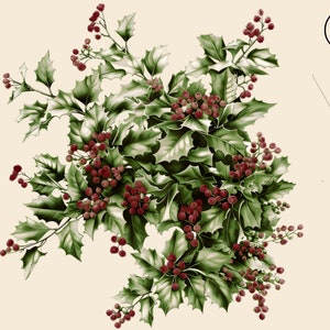Holly Clipart December Flower PNG Birth Month Flower SVG Holly Drawing ...