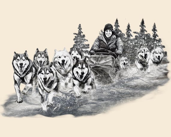 Dog Sledding Clipart Iditarod Pencil Art Dog Sled Race Design Husky
