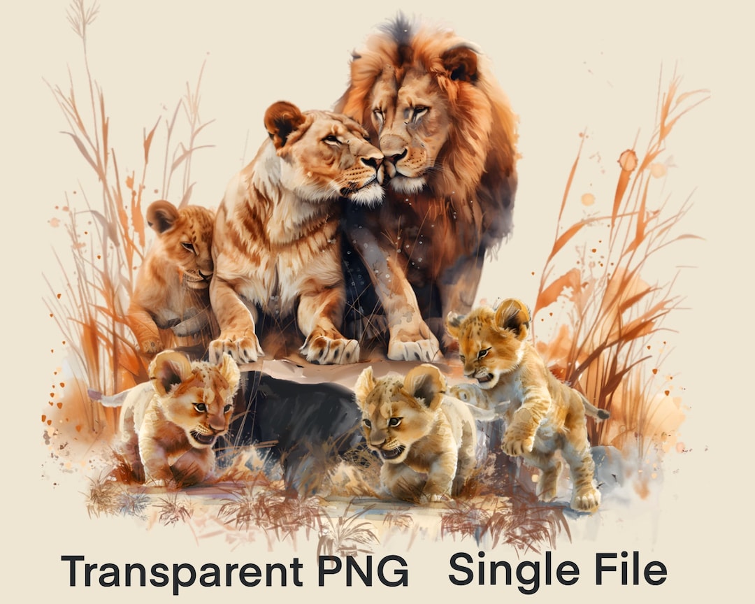 Lion Clipart Lion and Lioness Lion Cubs Png Lion Watercolor Art Wild ...