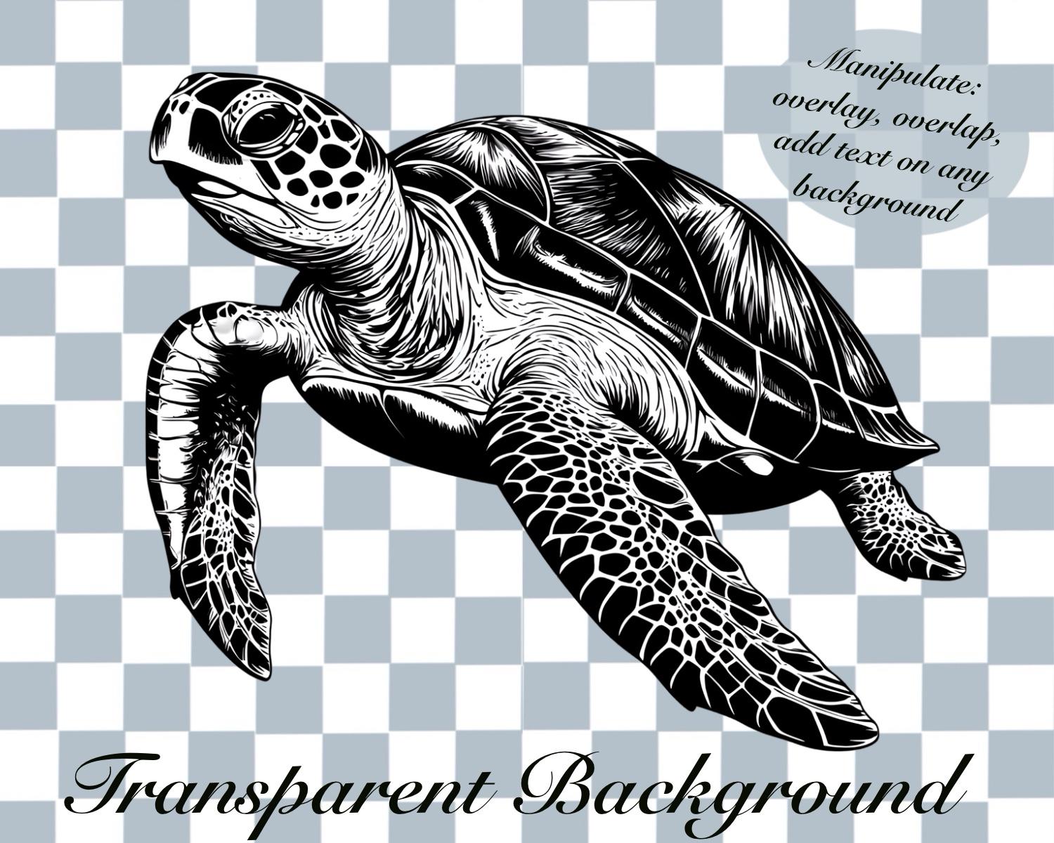 B & W Sea Turtle SVG PNG Laser Engrave Clipart Black and White Vector ...